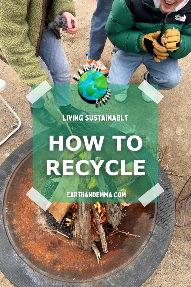 A Beginner's Guide on How to Recycle - Earth and Emma
