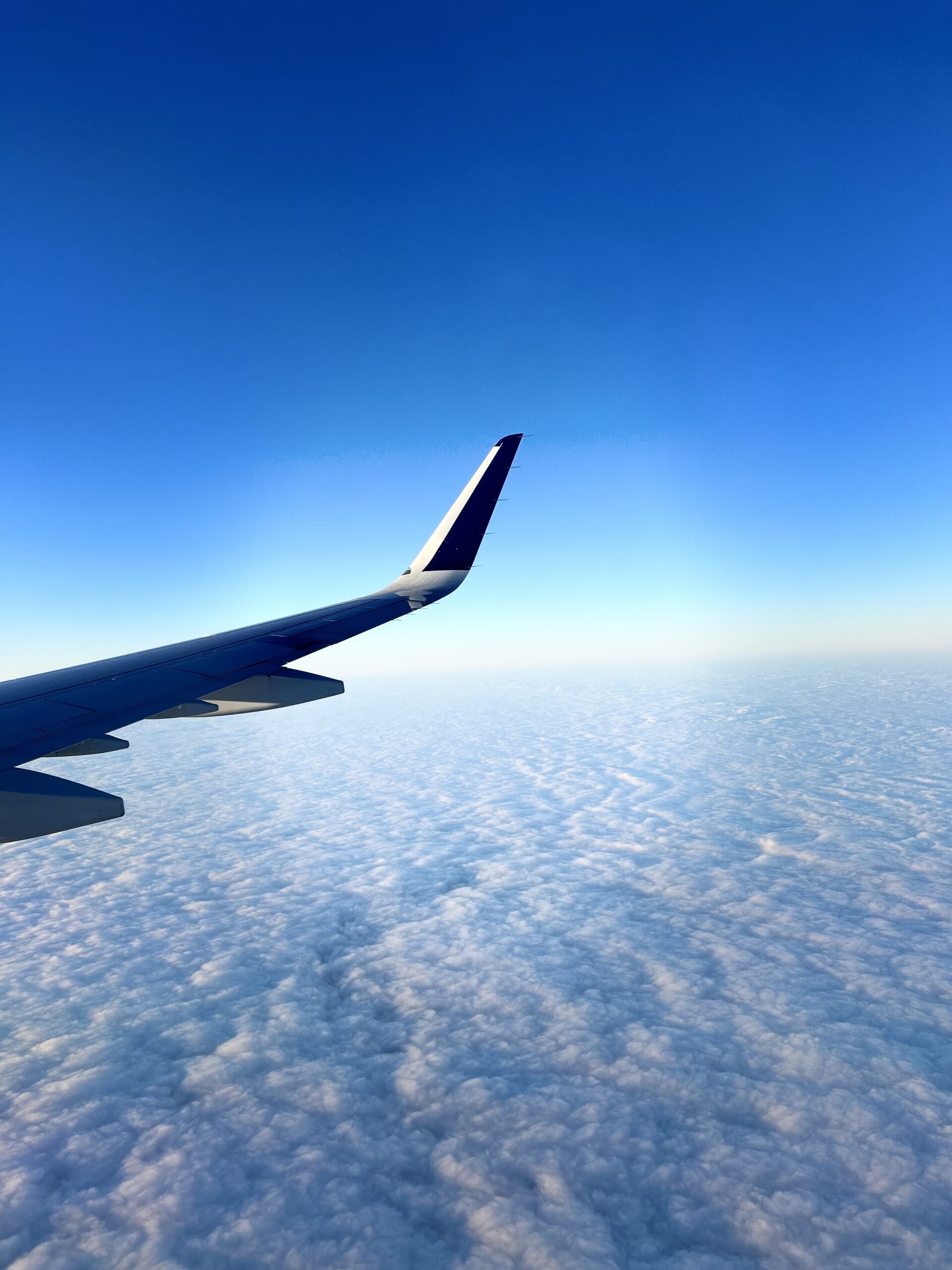 How to Fly More Sustainably - Earth and Emma